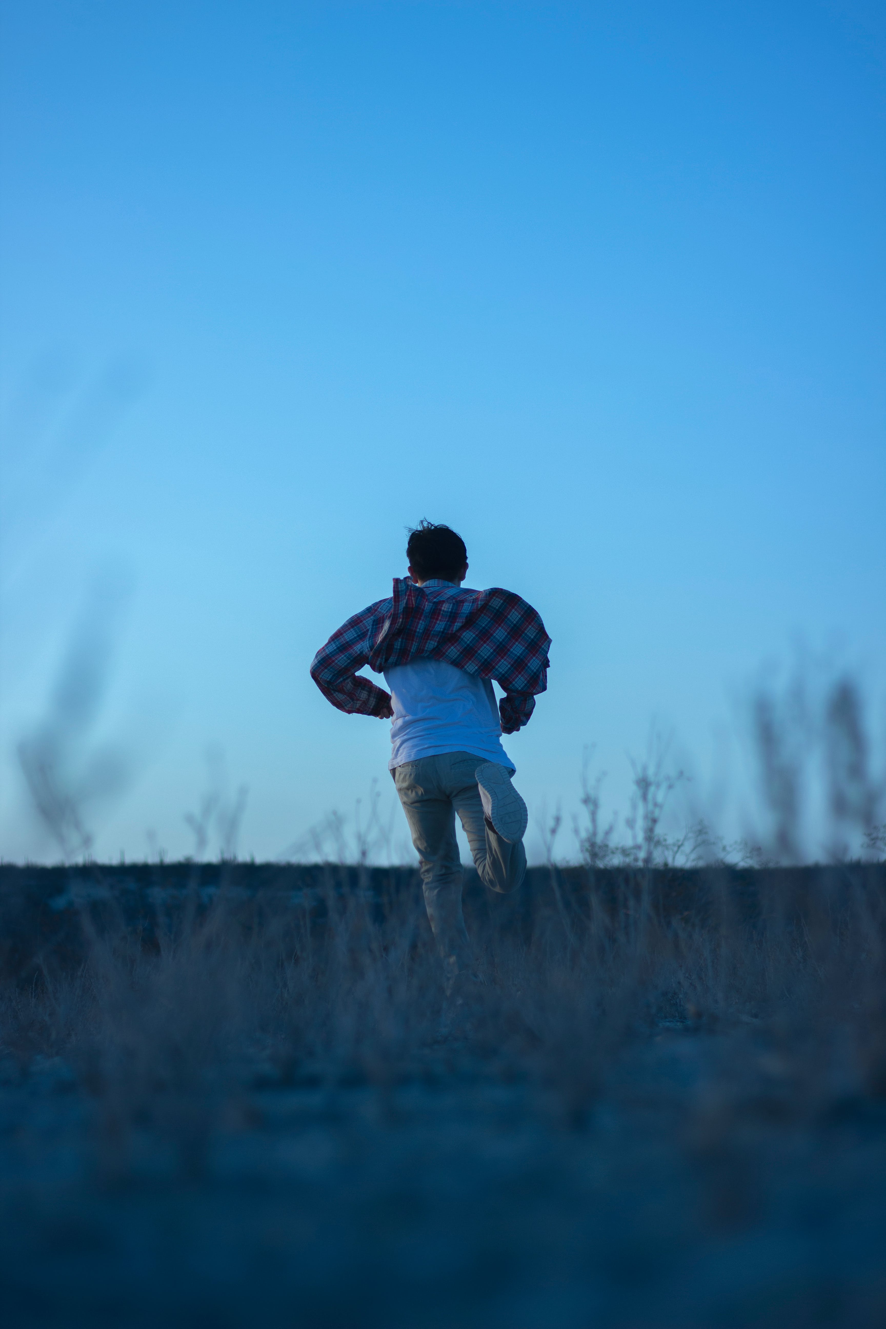 Compelled By the Covenant – WRITING GOD'S VISION—-AUTHOR DARLENE ...